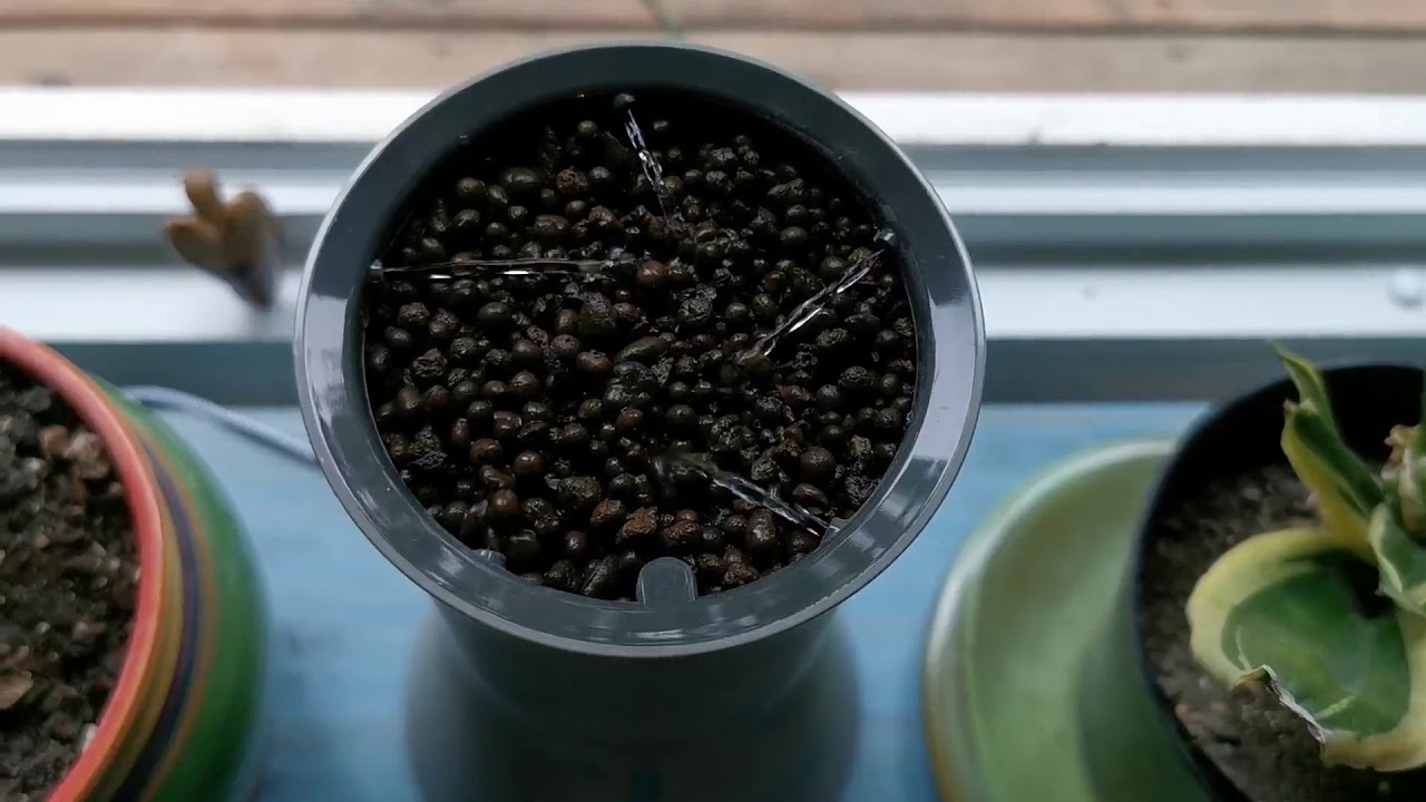 Botanium auto watering hydroponic gardening pot demo - YouTube