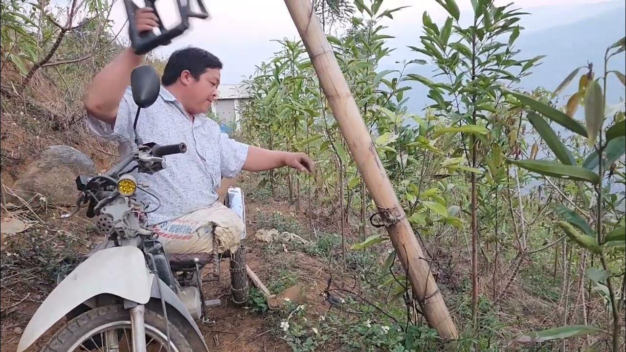 Los saib. pos xyooj lub neej 2/3/2024 - YouTube