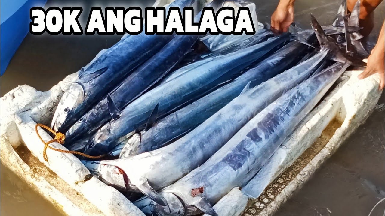 30K ANG KINITA SA ISANG ARAW LANG | SA MGA GIANT TANIGUE | JACKPOT - YouTube