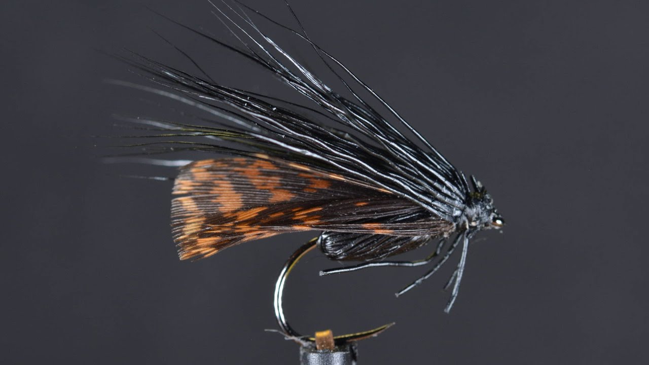 Fly tying a dark sedge - euro sedge #2 - YouTube