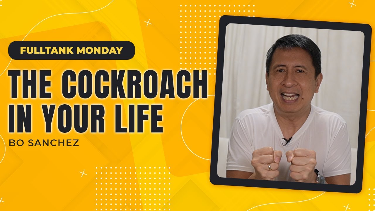 FULLTANK MONDAY: The Cockroach In Your Life - YouTube