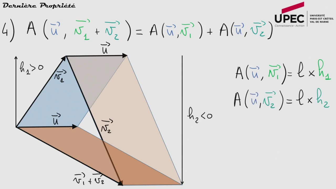 Le déterminant comme aire ou comme volume. - YouTube
