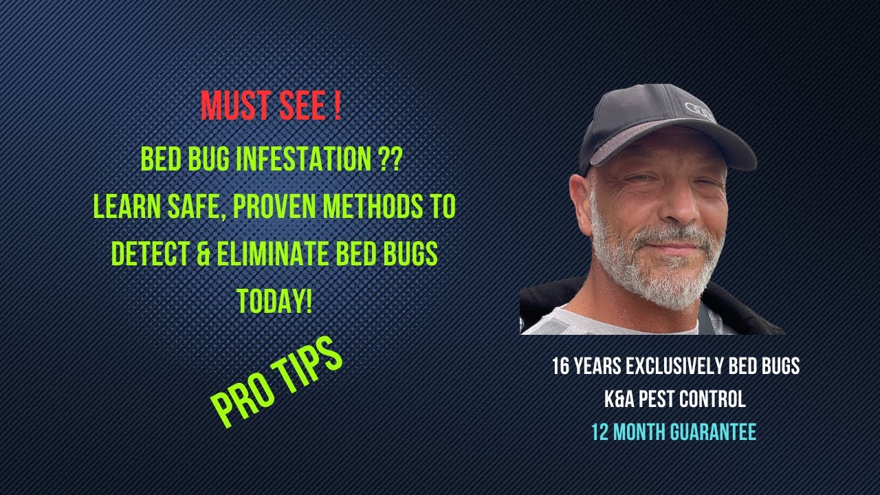 Bed Bug Infestation? Learn Safe, Proven Methods to Detect & Eliminate Bed Bugs Today! - YouTube