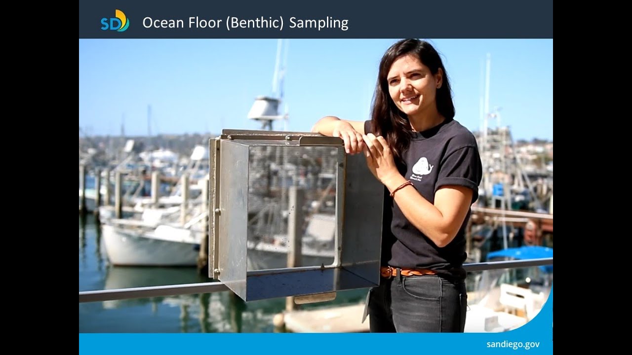 Ocean Floor (Benthic) Sampling - YouTube