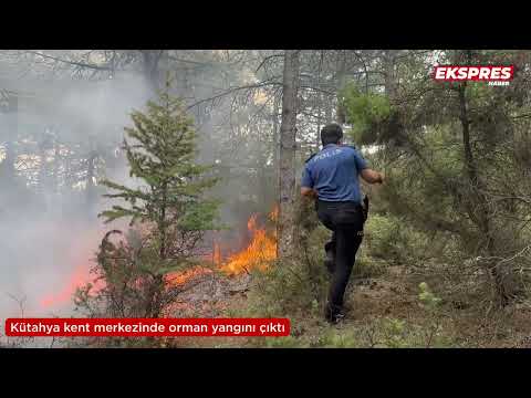 Kütahya kent merkezinde orman yangını çıktı
