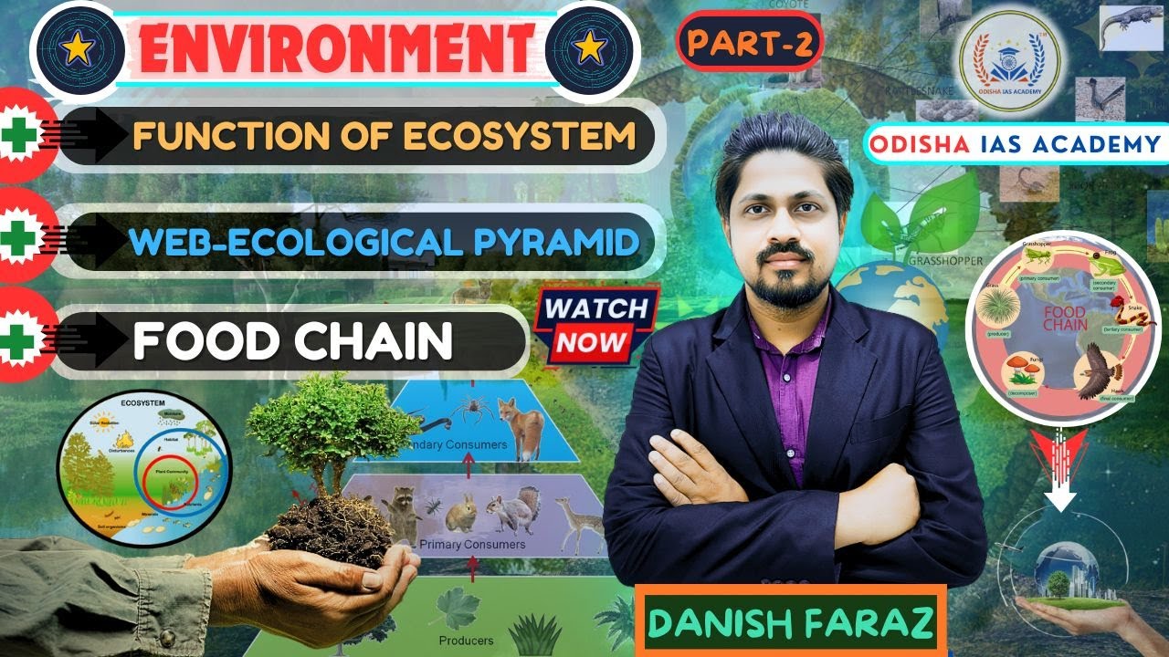 ENVIRONMENT - FUNCTION OF ECOSYSTEM-FOOD CHAIN & WEB-ECOLOGICAL PYRAMID ...