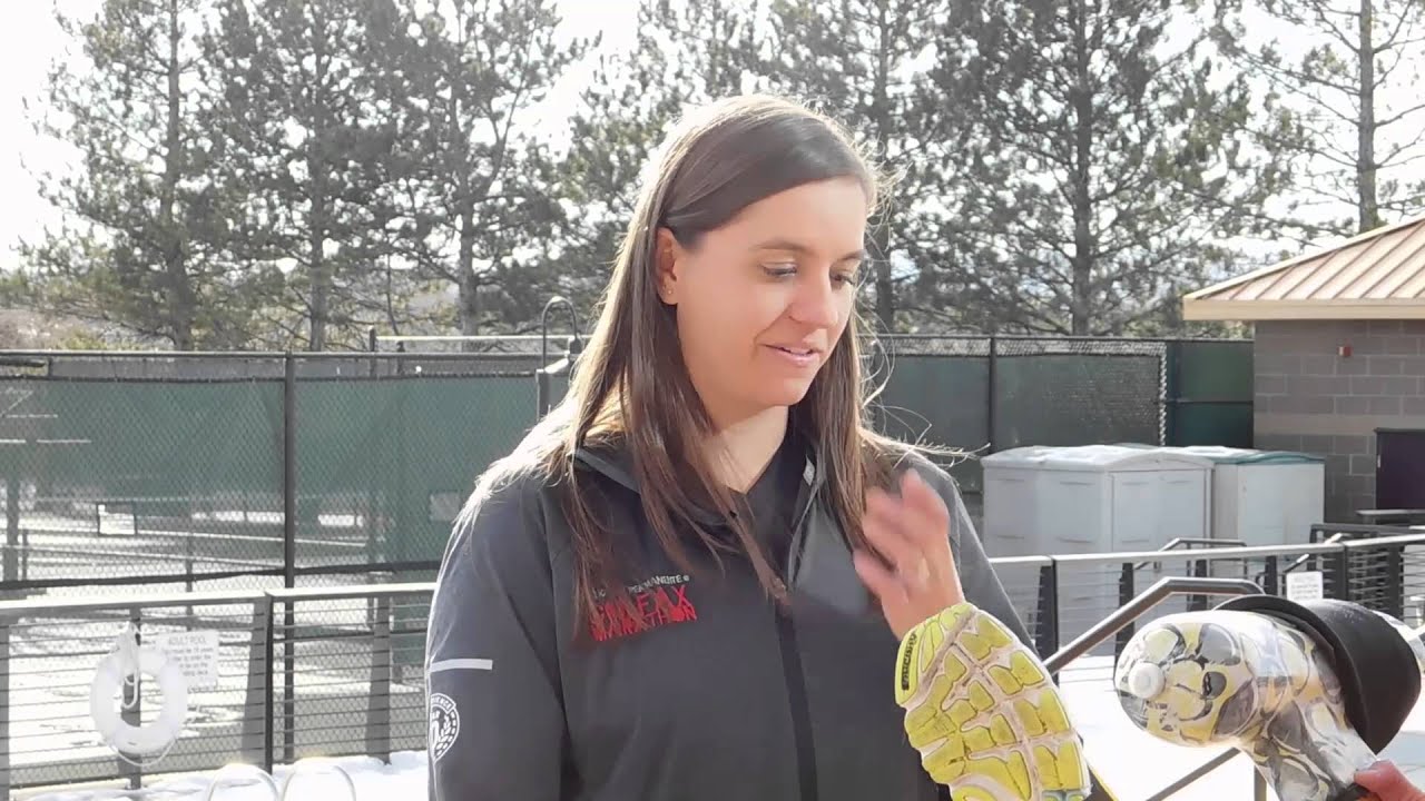 Interview with Emily Harvey - YouTube