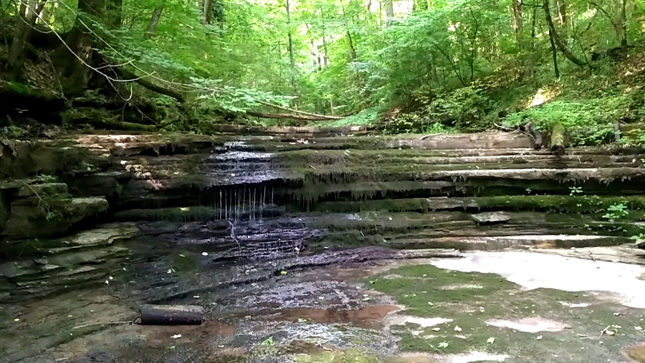 Random Upper Falls of Raven's Run Upper Falls, Lexington, KY - YouTube