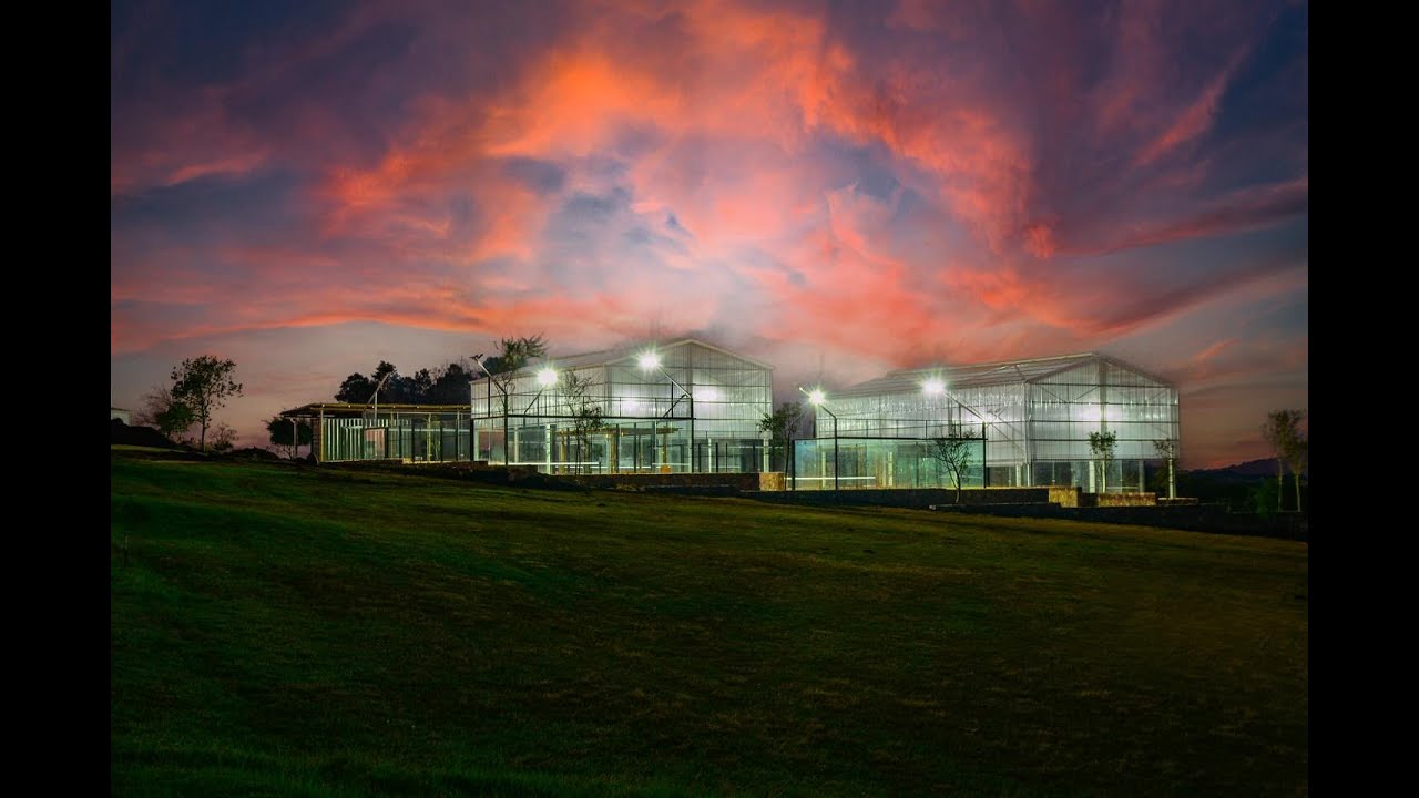 Fig Tree Farm Introductory Video - YouTube