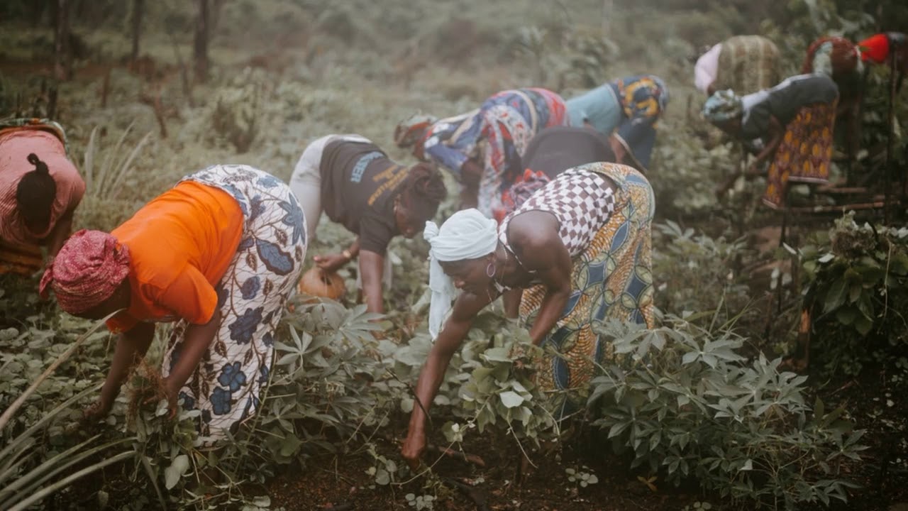 Kosi Ewe Kosi Orisa - BRAINCP