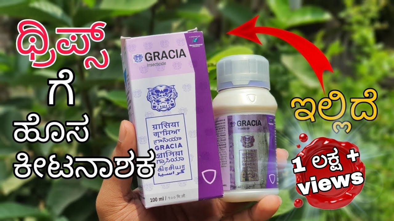 Gracia Insecticide | Godreg Agrovet | A New Insectide for Thrips - YouTube