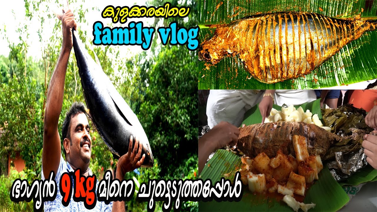 9 KG മീൻ വാങ്ങിയതിന് ഭാഗ്യനെ ഞാൻ കൊന്നേനെ ...🤣🤣ഒറ്റക്ക് ചുട്ടുകഴിച്ച ...