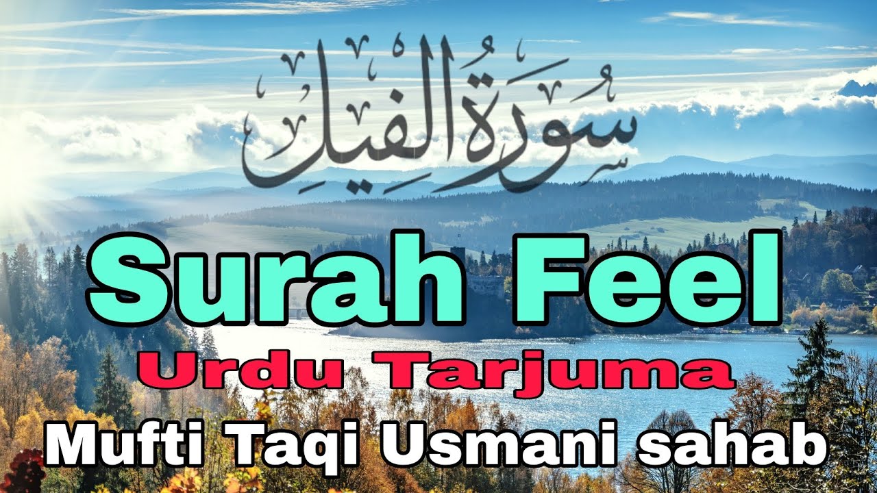 Surah Feel ka Urdu tarjuma l Natural Life with Quran l Ayat to Ayat ...