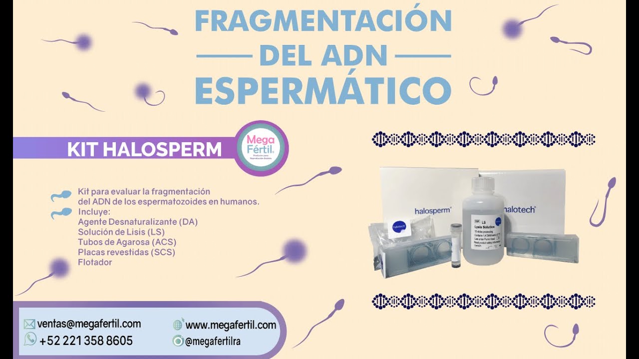 KIT DE FRAGMENTACIÓN HALOSPERM - YouTube