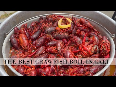 THE BEST CRAWFISH BOIL IN CALIFORNIA - YouTube