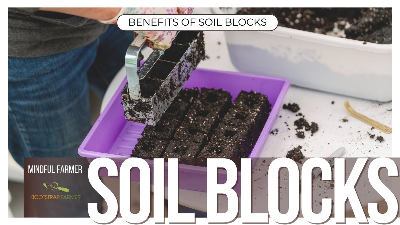 Benefits Of Using Soil Blocks - YouTube