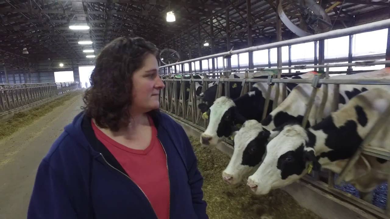 South Dakota Farmer Dedicates Herself to Dairy Education - YouTube