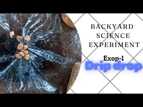 Backyard science experiment -1|| Drip drop💧| Let find some water| - YouTube