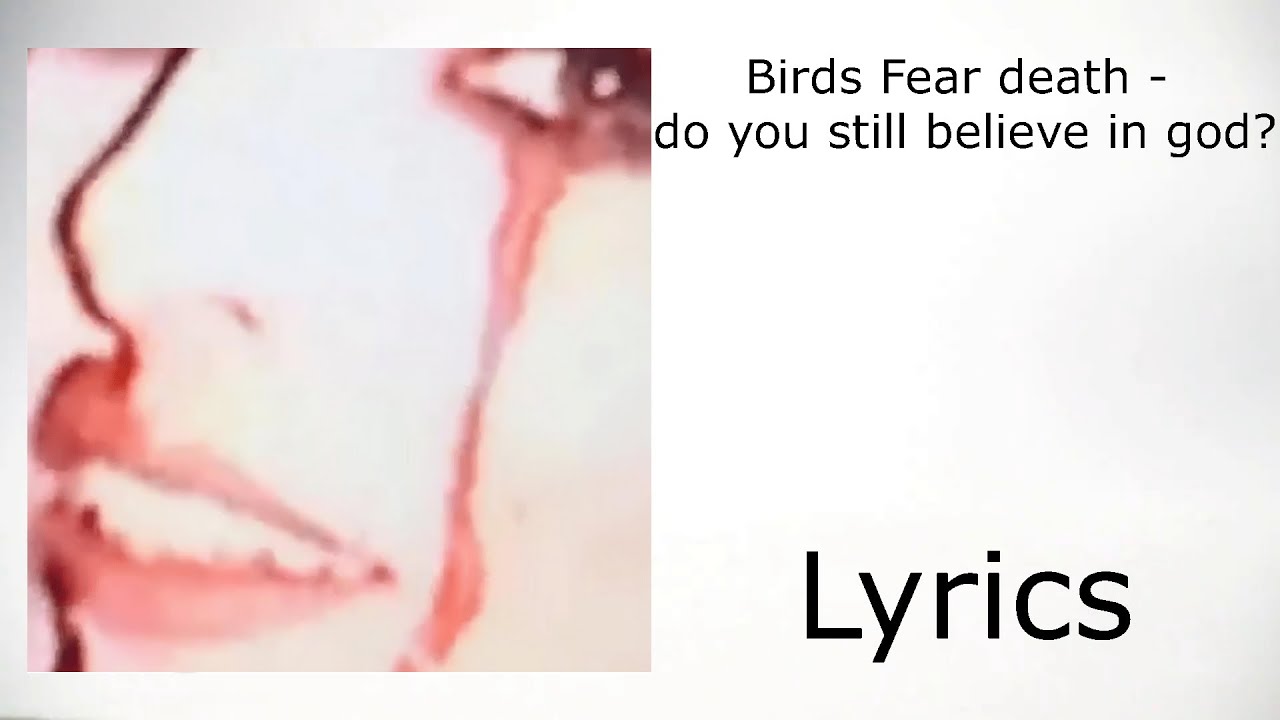 Birds Fear Death - do you still believe in god? (lyrics) - YouTube