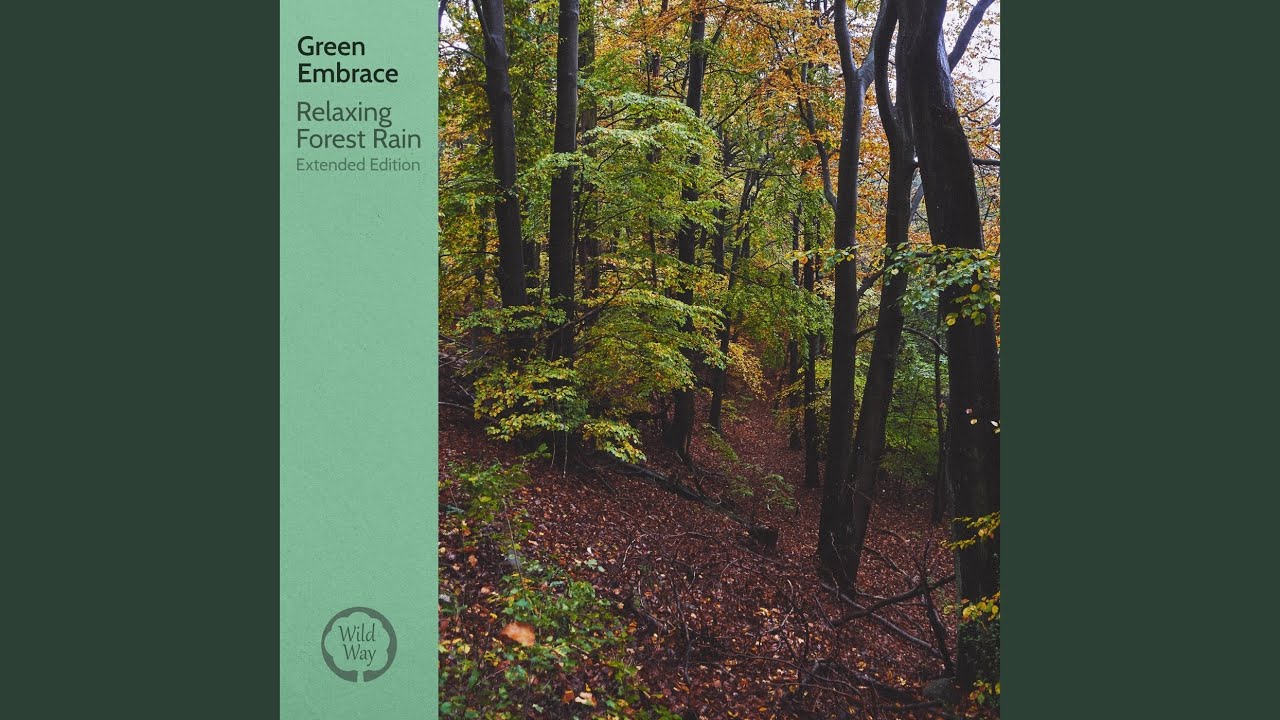 Wind Gusts and Tree Boughs Bending in a Rain Shower - YouTube