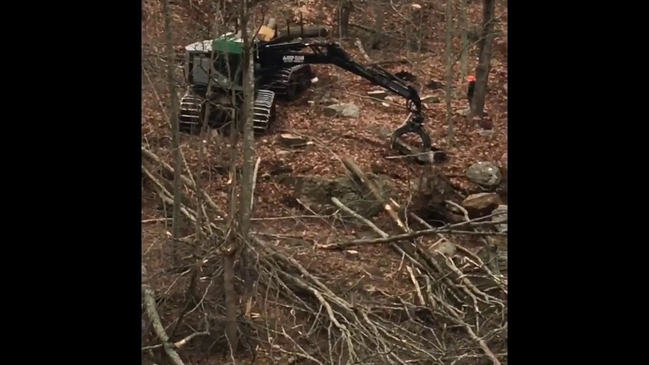 A little fun on some hillside timberpro 830 - YouTube