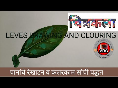 LEVES DRAWING AND CLOURING || LEVES PAINTING ||EASY LEVELS DRAWING STEP ...