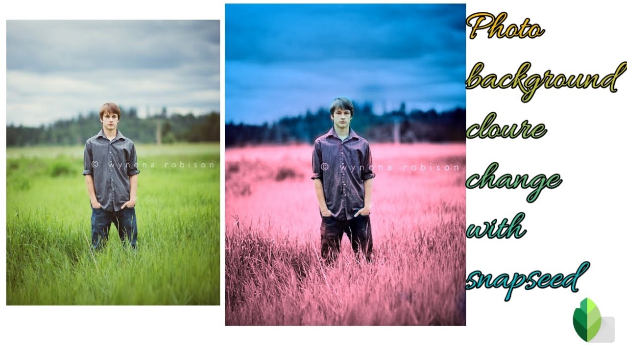 Explained Snapseed Editing Photo Background Colour Change|Snapseed ...