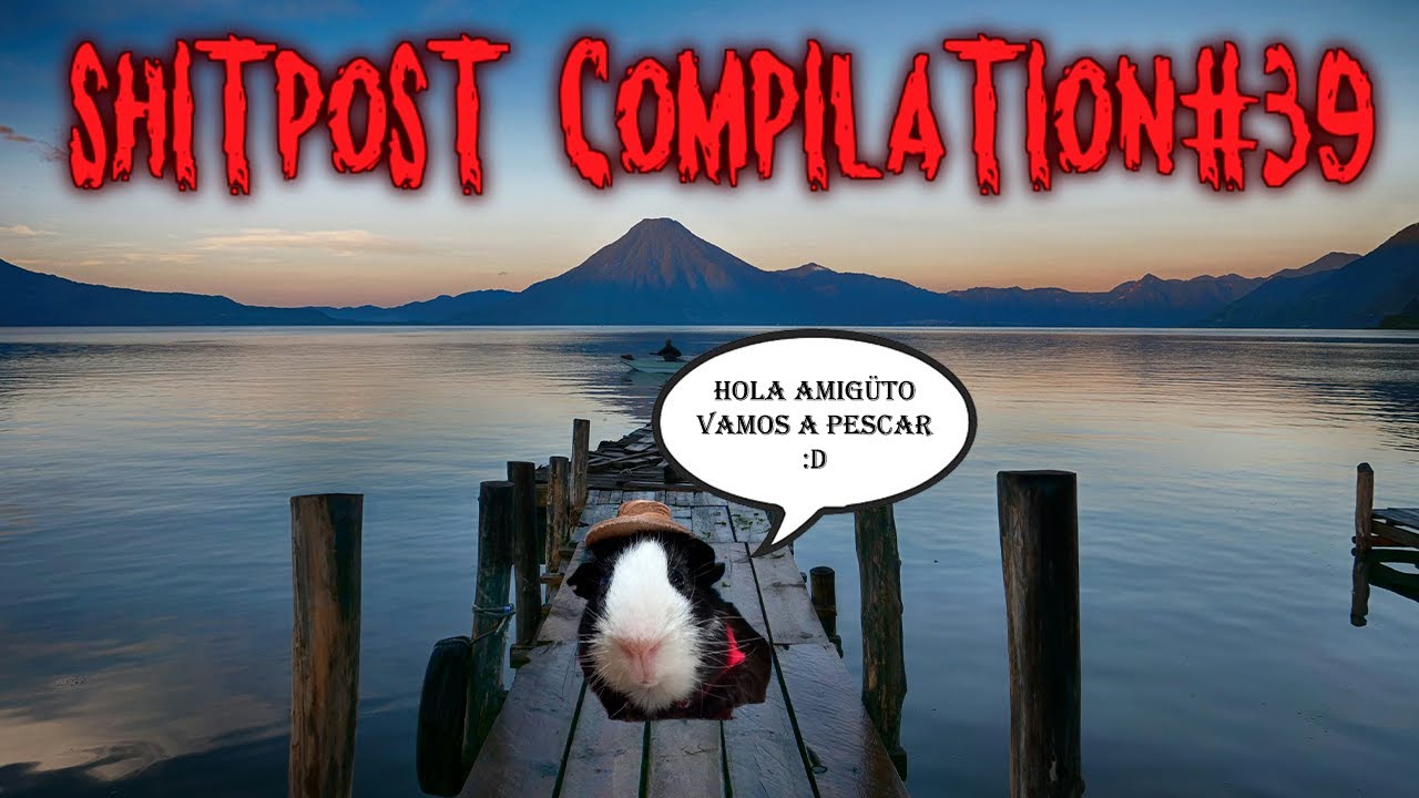 Shitpost Compilation#39 - YouTube