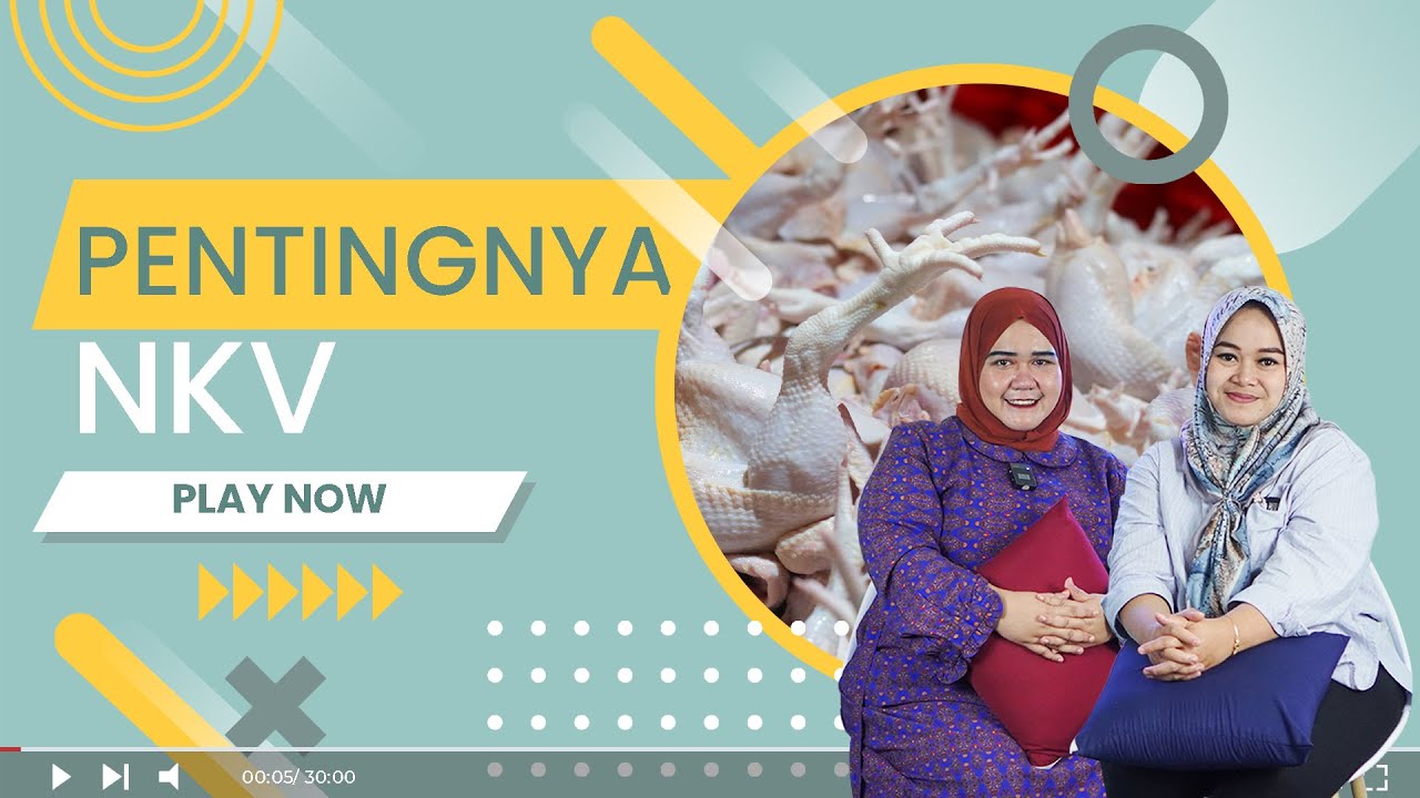 PENTINGNYA NKV (Nomor Kontrol Veteriner) BAGI USAHA PANGAN ASAL HEWAN ...
