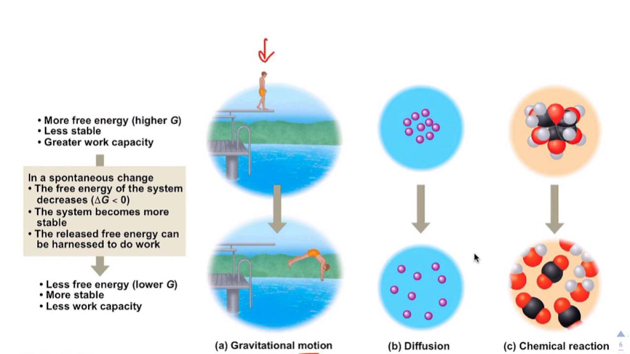 Chapter 8 Screencast 8.2 Free Energy - YouTube