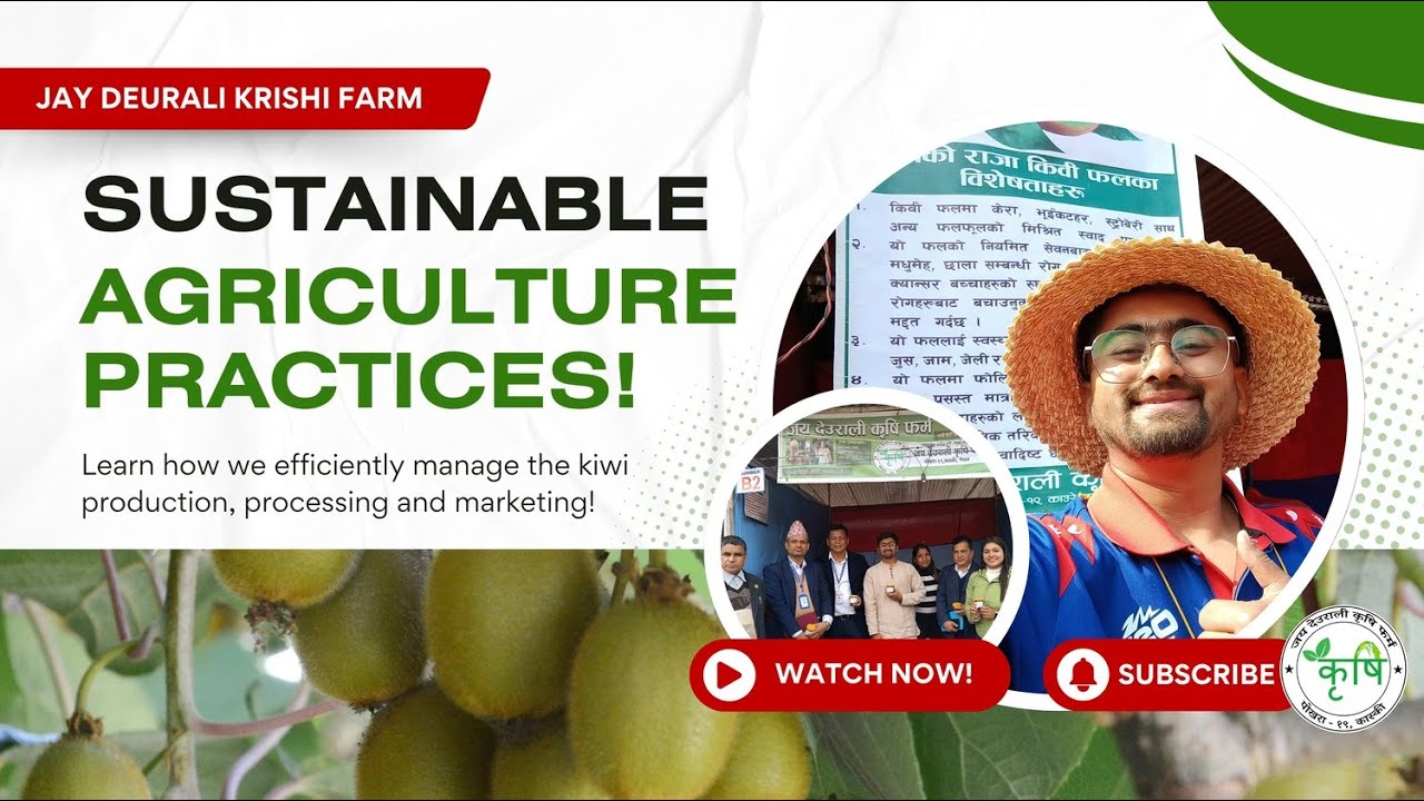 Sustainable Agriculture in Jay Deurali Krishi Farm! - YouTube