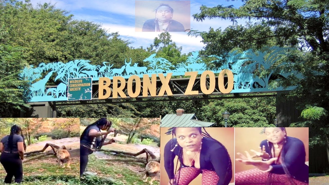 Bronx Zoo Lion Woman Makes Rap Video While On The Run From The NYPD ...