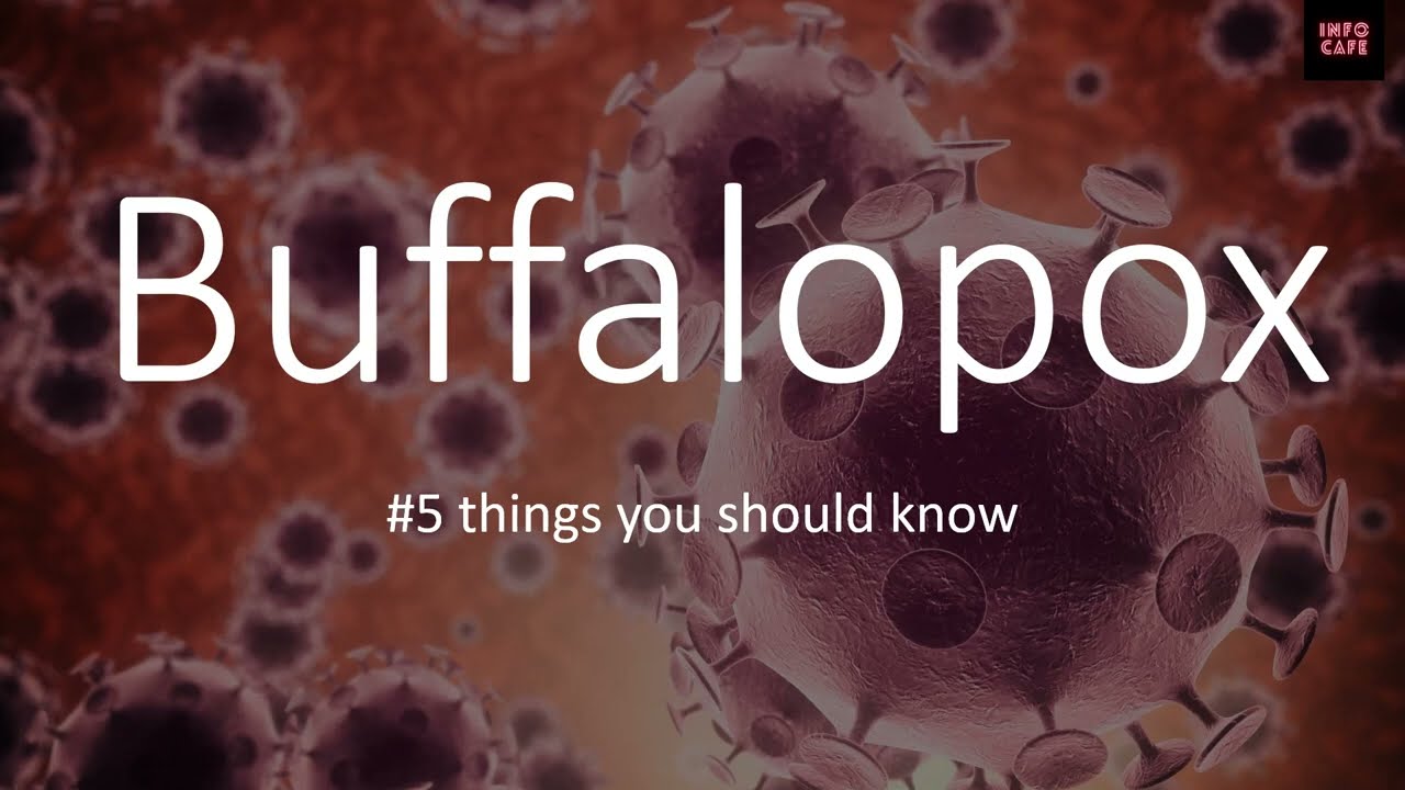 #5 things about "BUFFALOPOX" - You Should Know - YouTube