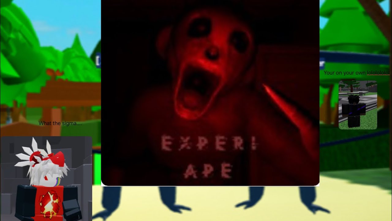 Experi ape shenanigans - YouTube