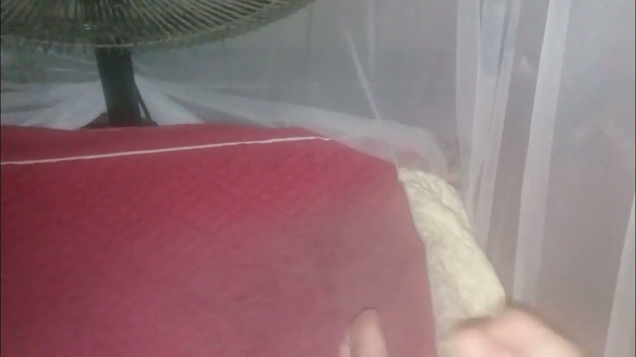 NAD - phê remix - YouTube