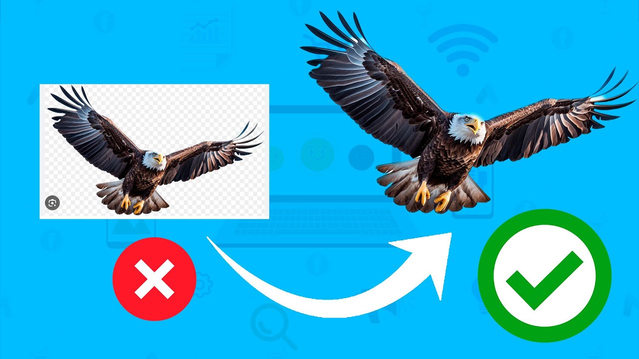 👍 Descargar IMÁGENES SIN FONDO en Google para Photoshop o Canva 😆 - YouTube