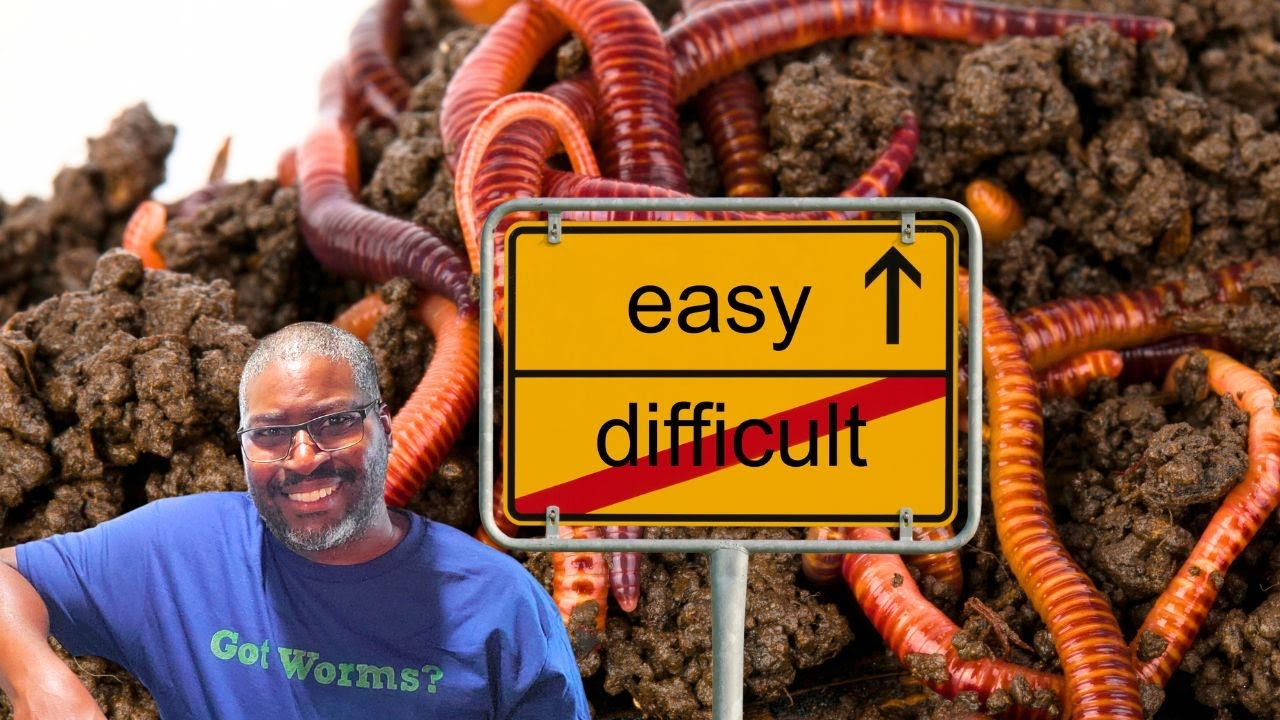 How To Collect Worm Castings From A Worm Bin - YouTube