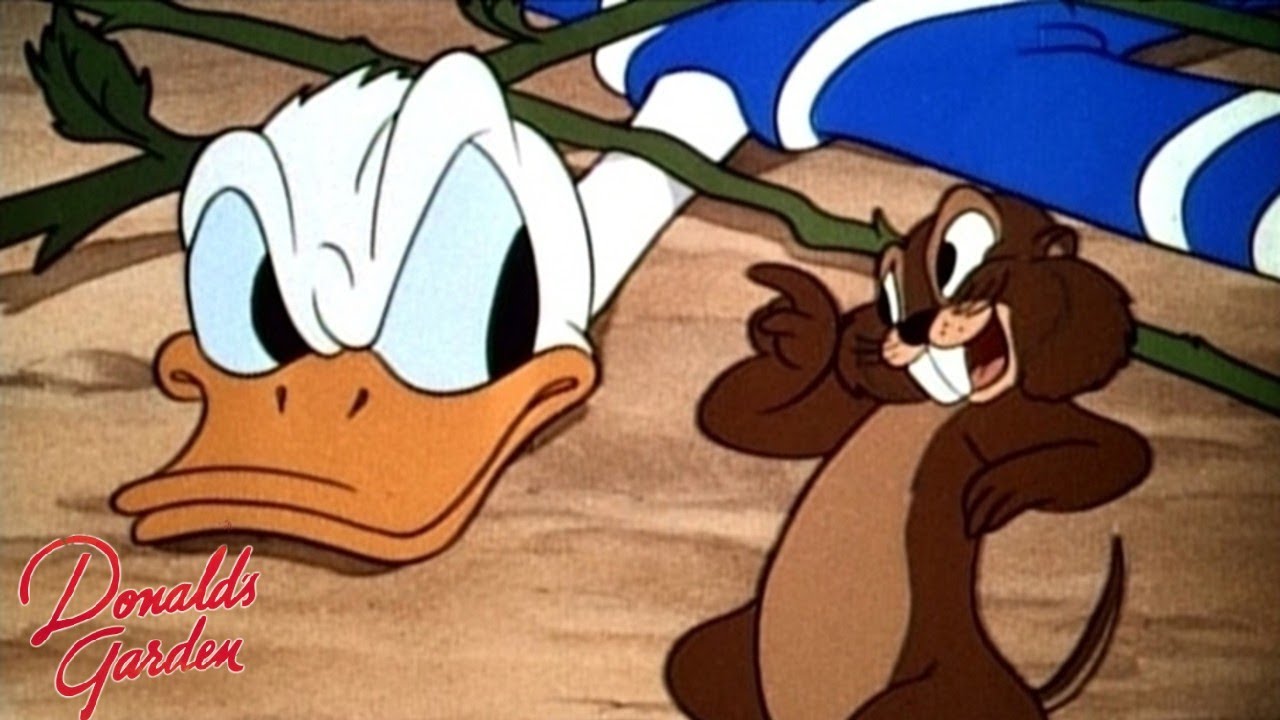 Donald's Garden 1942 Disney Donald Duck Cartoon Short Film | Directed ...