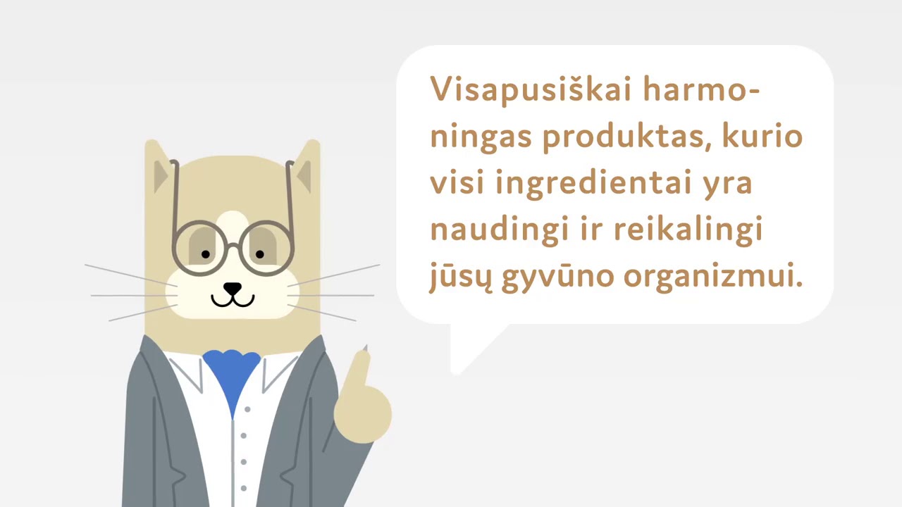 Holistinis gyvūnų maistas - nauda jūsų augintiniui - YouTube