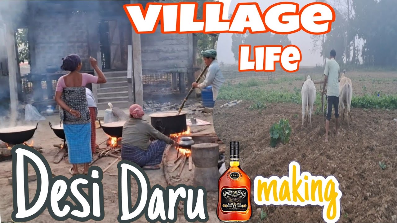 village life !! desi daru making !! growing vegetables #arish4x - YouTube