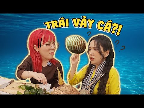 Misthy rủ bà trùm nông sản @vienvibi review trái cây độc lạ Tiktok. Mắc nghẹn vì trái thứ 5!