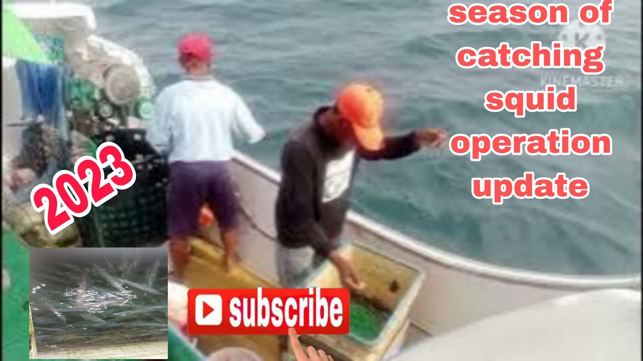 fishing boat amazing adventure/season of catching squid operation ...