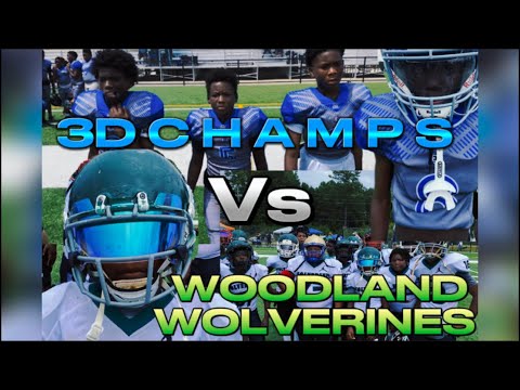 3D CHAMPS 12u CAME BACK FROM A 20-0 LEAD AGAINST THE WOODLAND ...