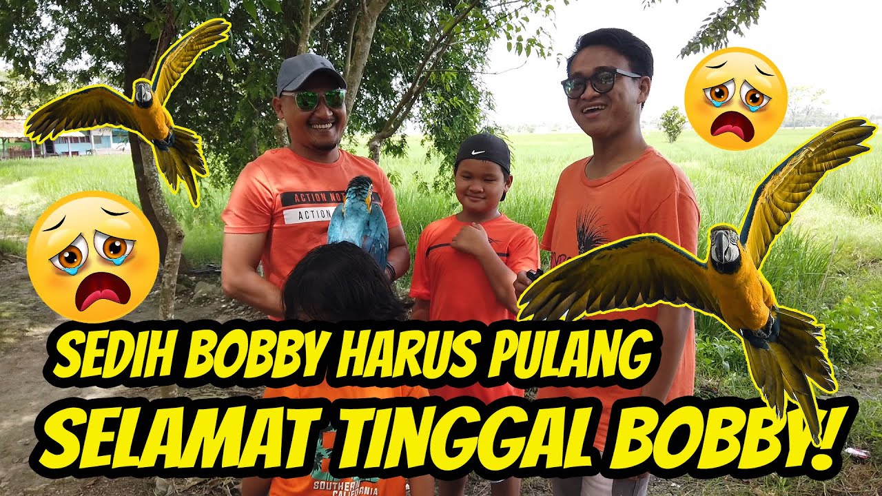 SEDIH BOBBY HARUS PULANG KE PEMILIKNYA 😭 BYE BYE BOBBY - YouTube