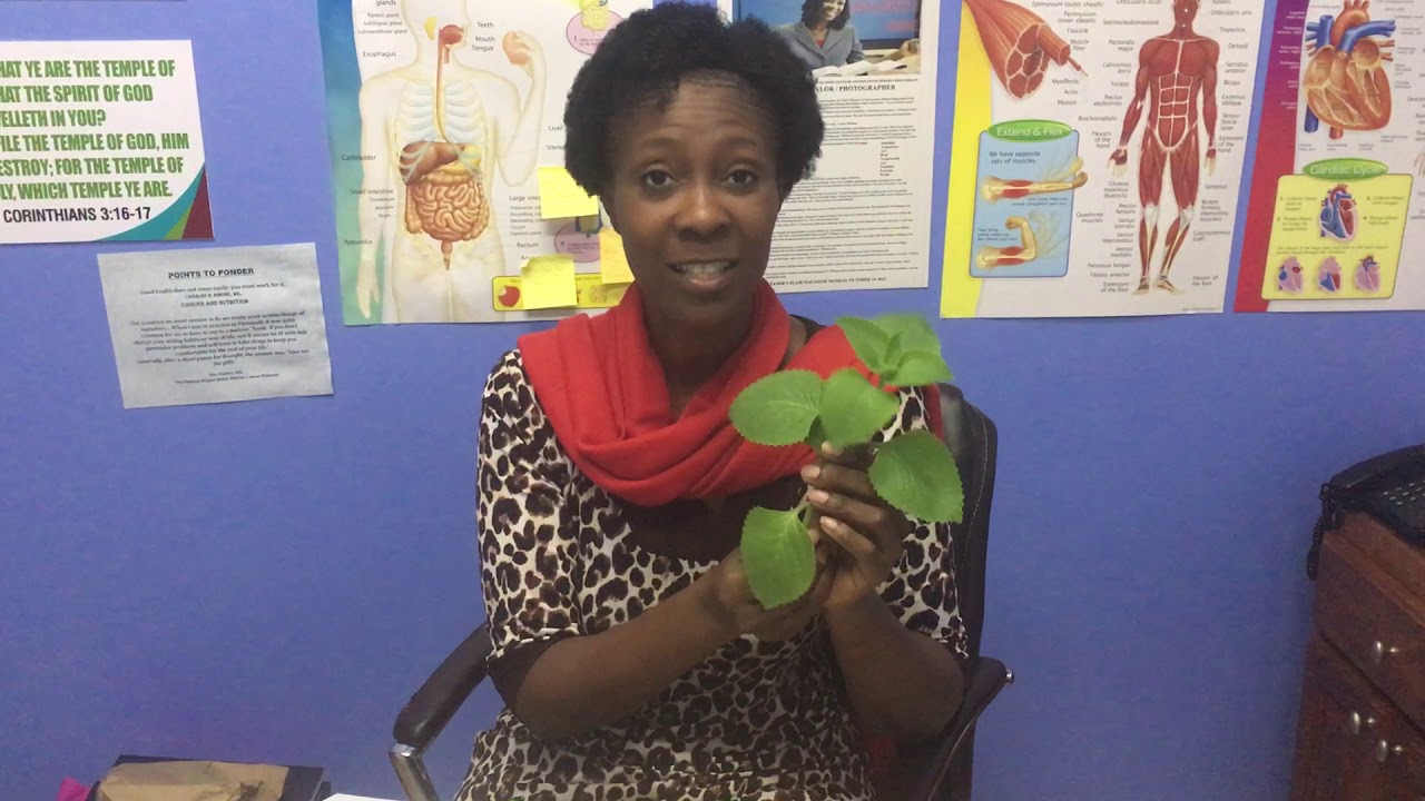 Dr Debra Williams Health Benefits of the French Thyme plant - YouTube