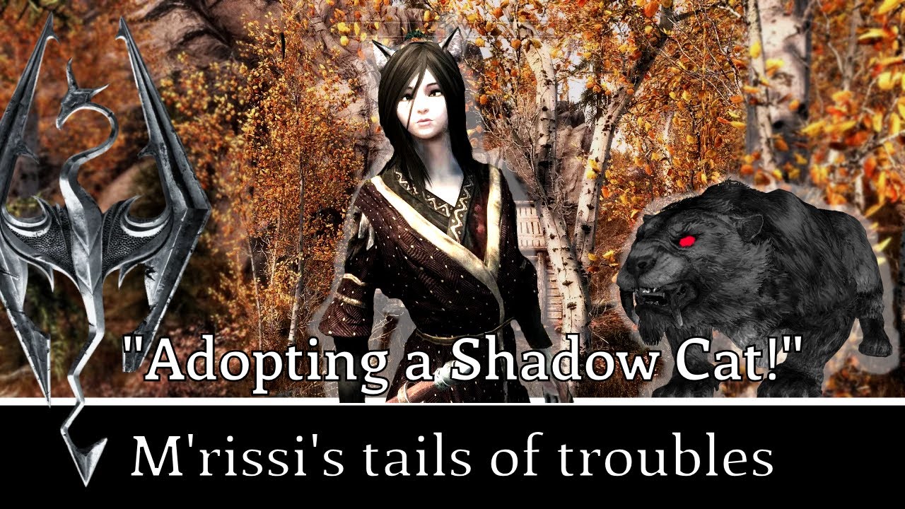 Skyrim Modded Playthrough: M'rissi's tails of troubles | "Adopting a ...