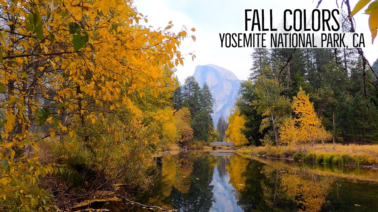 Fall Colors in Yosemite National Park (2020)(4K) - YouTube