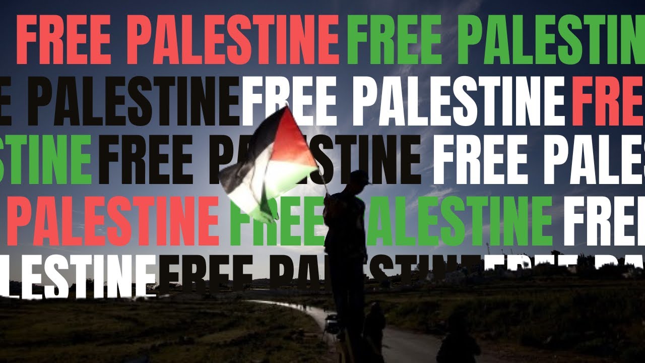 Help Bring Aid To Palestine | Donate To Palestine With The Link In Bio ...