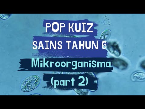 Pop Kuiz | Sains Tahun 6 | Mikroorganisma | Kuiz #2 - YouTube
