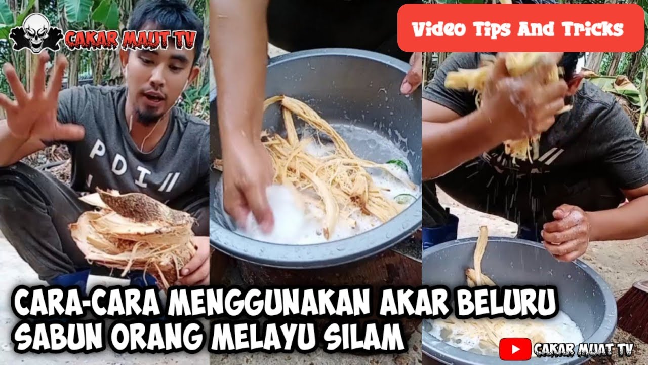 Tips And Tricks | Cara-cara menggunakan AKAR BELURU SABUN ORANG MELAYU ...